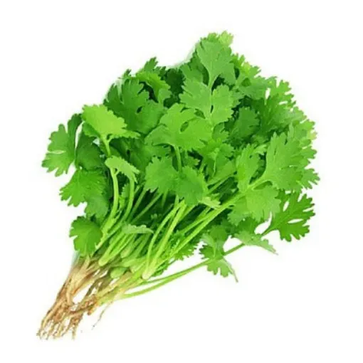 Thomman's Groceries. Coriander Leaves 1 Bunch